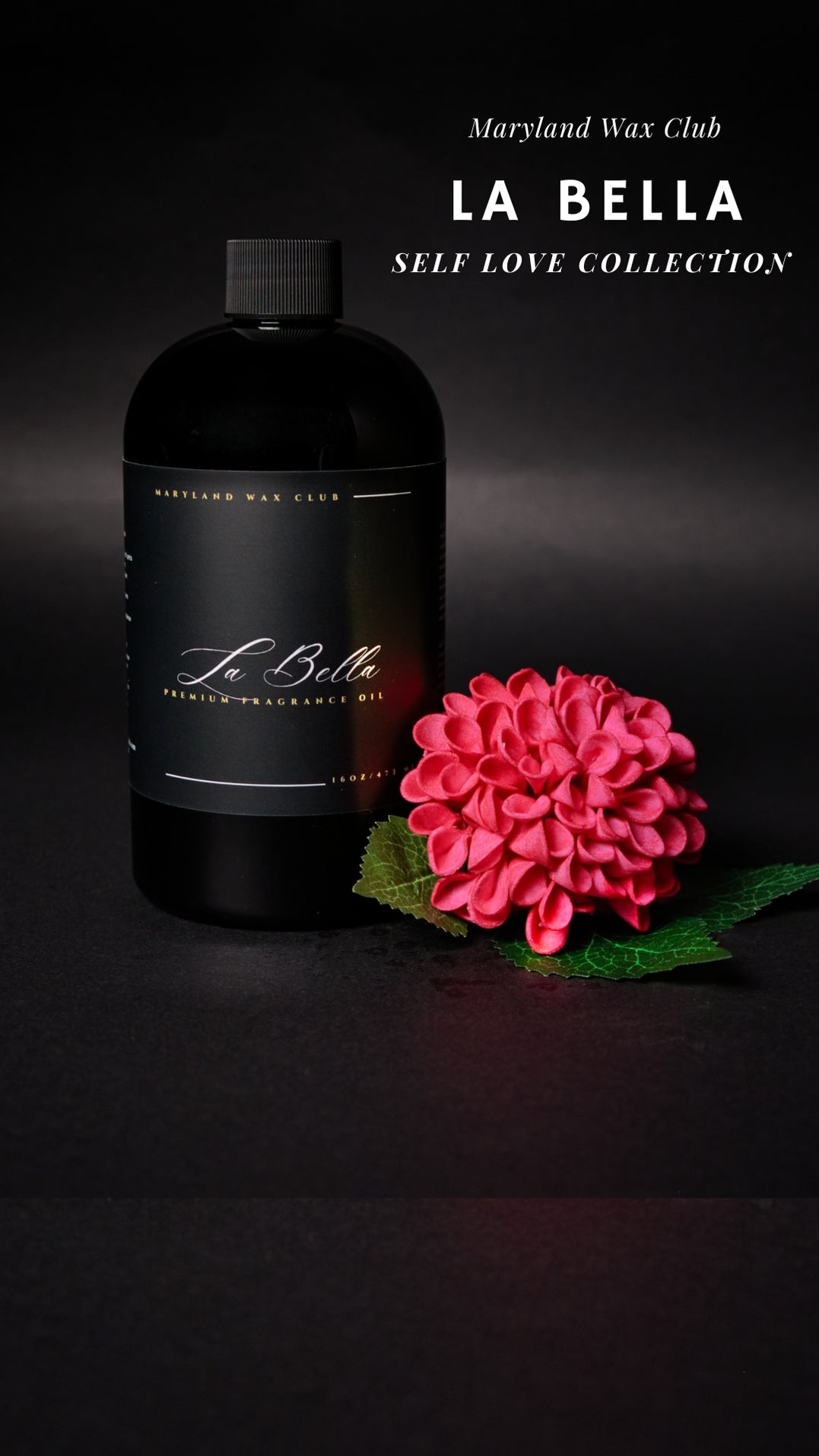 Self Love Collection Bundle (2025 New Fragrance Drop)